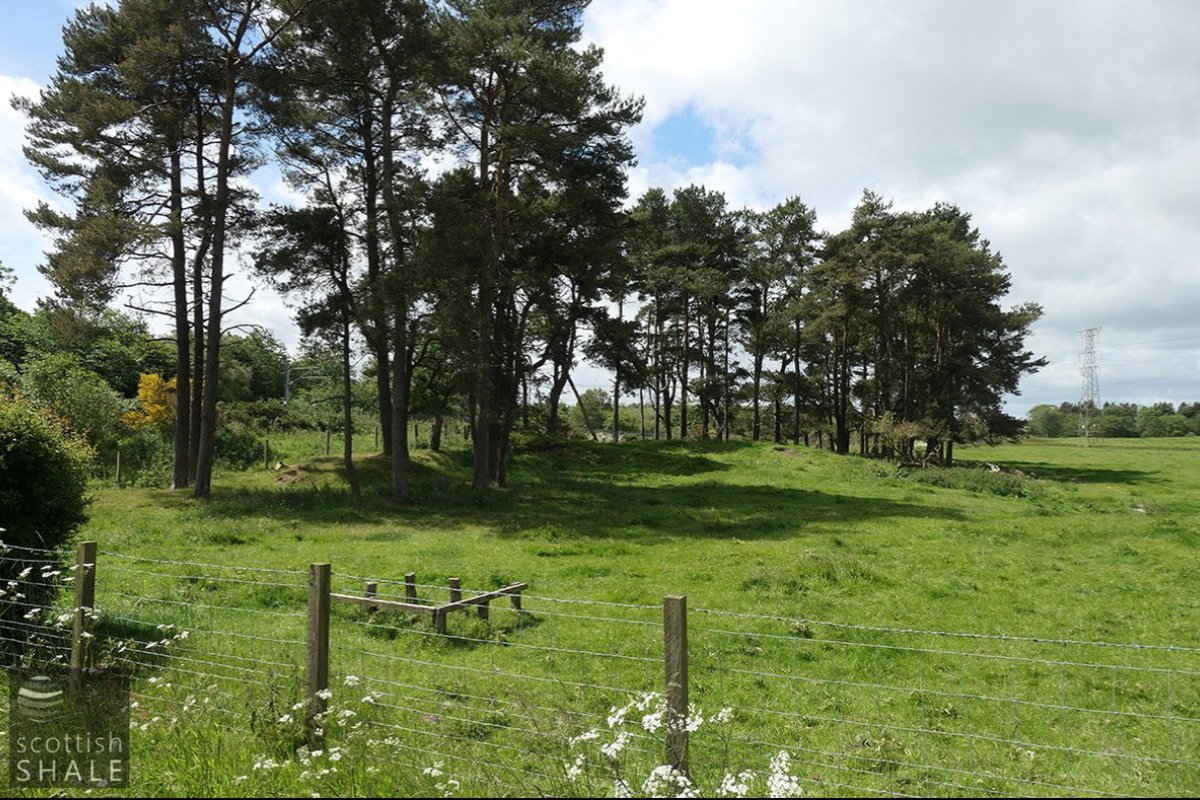 The Boghead Boom and the Great Engine Sale - Scottish Shale